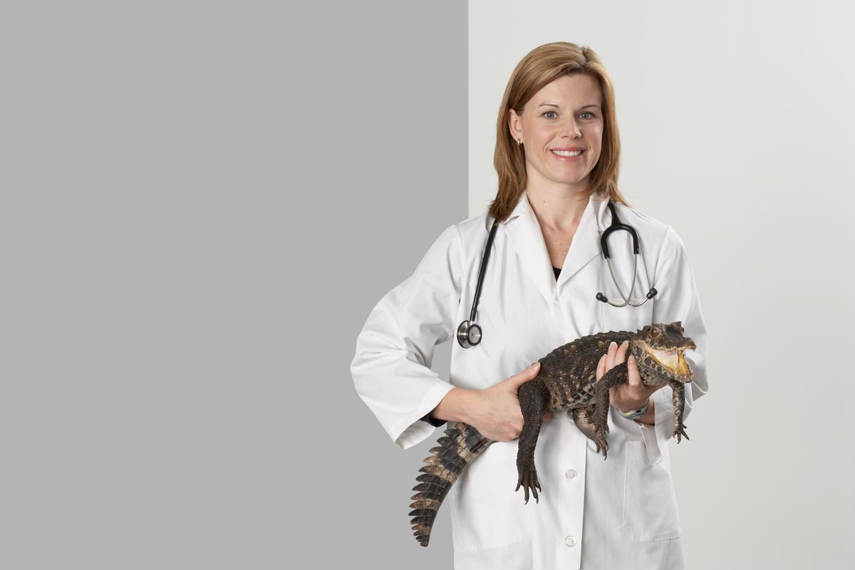 The Dilemma of Veterinarian Power in Zoos